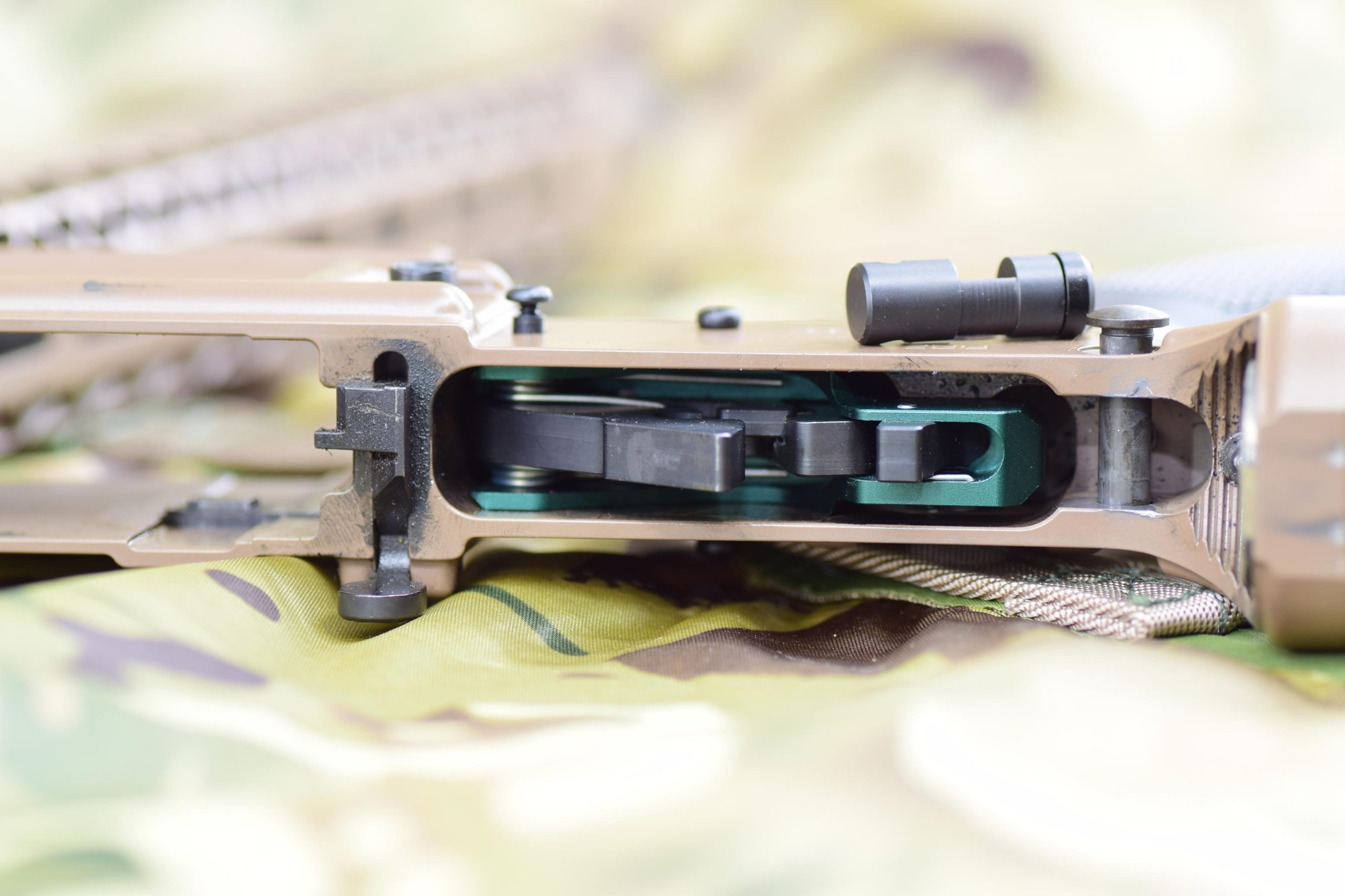 Home - Partisan Triggers